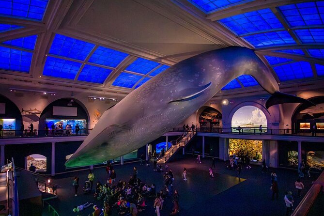 American Museum of Natural History Admission Ticket - The Pros and Cons of Visiting