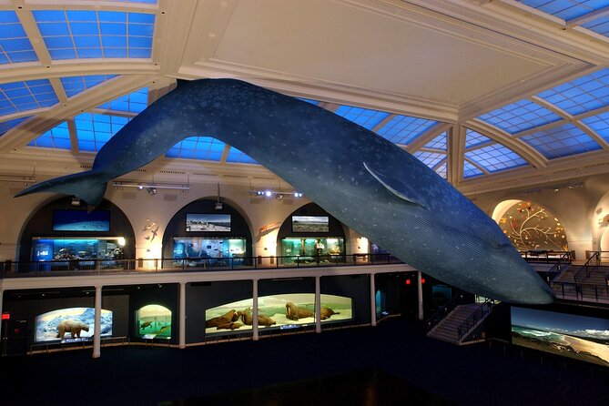 American Museum of Natural History Admission Ticket - The Sum Up