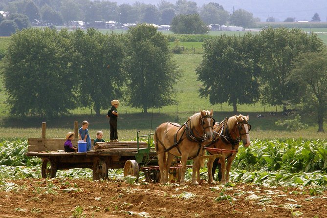 Amish Experience SuperSaver Package - Transportation and Practicalities