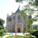 Amtrak Coast Starlight+ Santa Barbara 1-Day Tour - Honest Traveler Insights & Realities