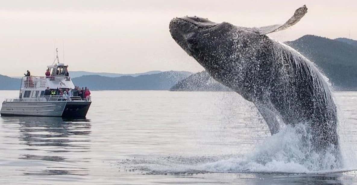 Anacortes: Whale and Orca Boat Tour near Seattle - The Guides and Crew