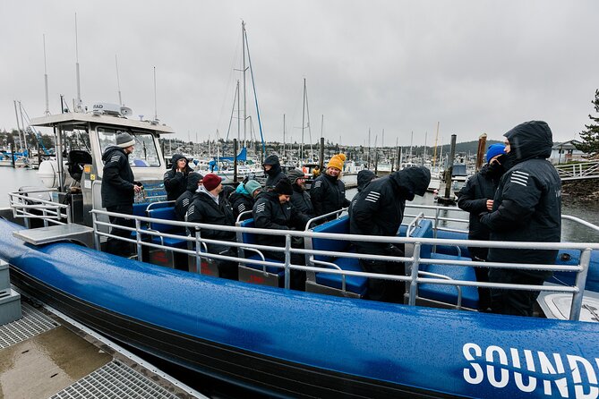 Anacortes Whale Watching Adventure Tour - Zodiac Boat - What to Expect from the Whale Watching Adventure