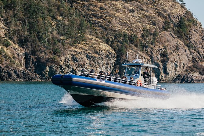 Anacortes Whale Watching Adventure Tour - Zodiac Boat - Practical Details: How the Tour Runs