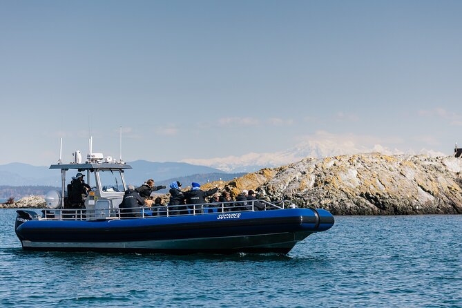 Anacortes Whale Watching Adventure Tour - Zodiac Boat - Final Thoughts: Who Will Love This Tour?