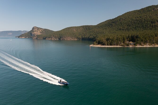 Anacortes Whale Watching Adventure Tour - Zodiac Boat - Frequently Asked Questions