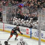 Anaheim Ducks NHL Game Ticket at Honda Center - The Honda Center Experience
