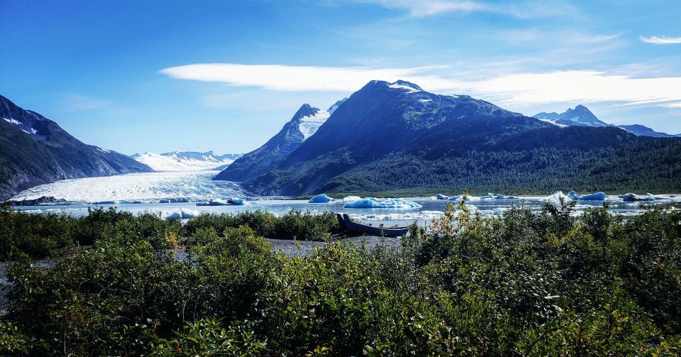 Anchorage: 11 Day Grand Alaska Highlights Tour - Practical insights about the tour