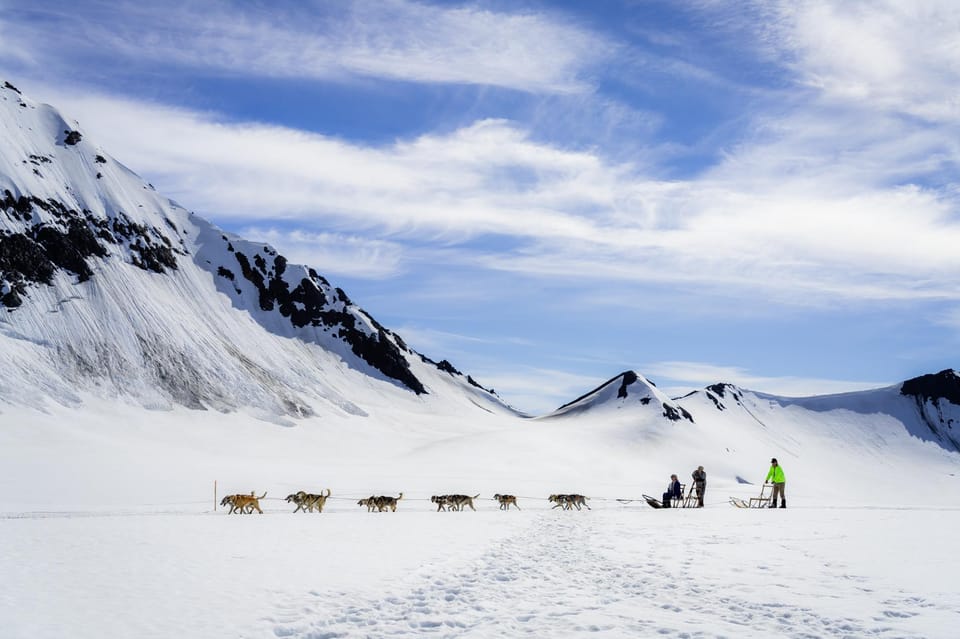 Anchorage Area: Helicopter and Glacier Dogsled Tour - Authenticity and Highlights from Reviews