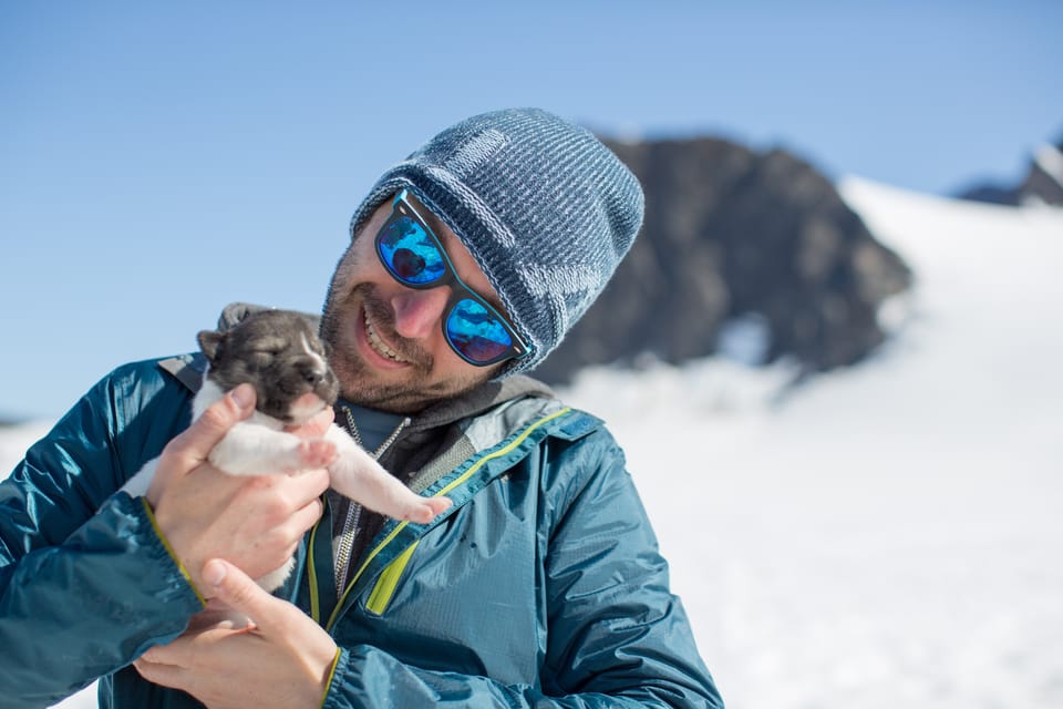 Anchorage Area: Helicopter and Glacier Dogsled Tour - FAQ