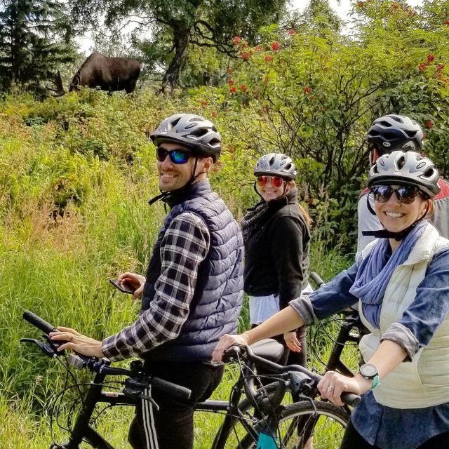 Anchorage: Coastal Trail 3-Hour City Bike Tour - Practical Considerations