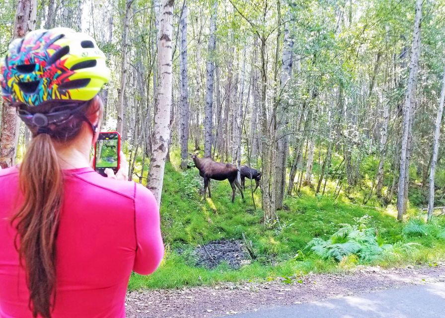 Anchorage: Coastal Trail 3-Hour City Bike Tour - Final Thoughts