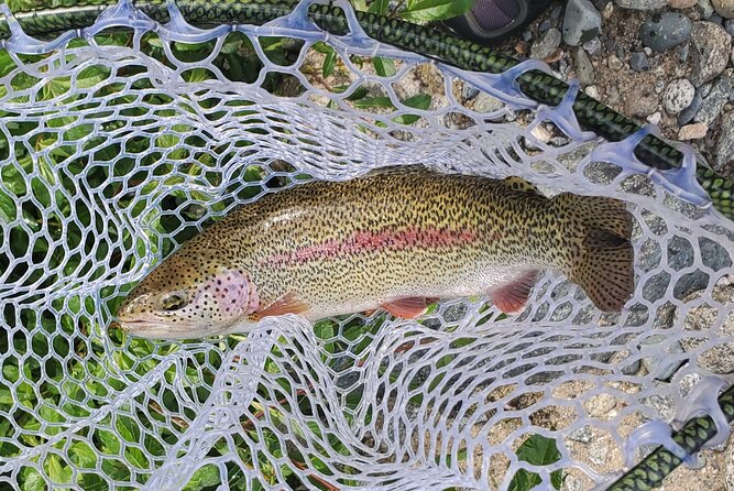 Anchorage Guided Fly-fishing - Why This Tour Stands Out