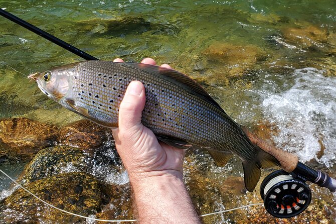 Anchorage Guided Fly-fishing - Final Thoughts