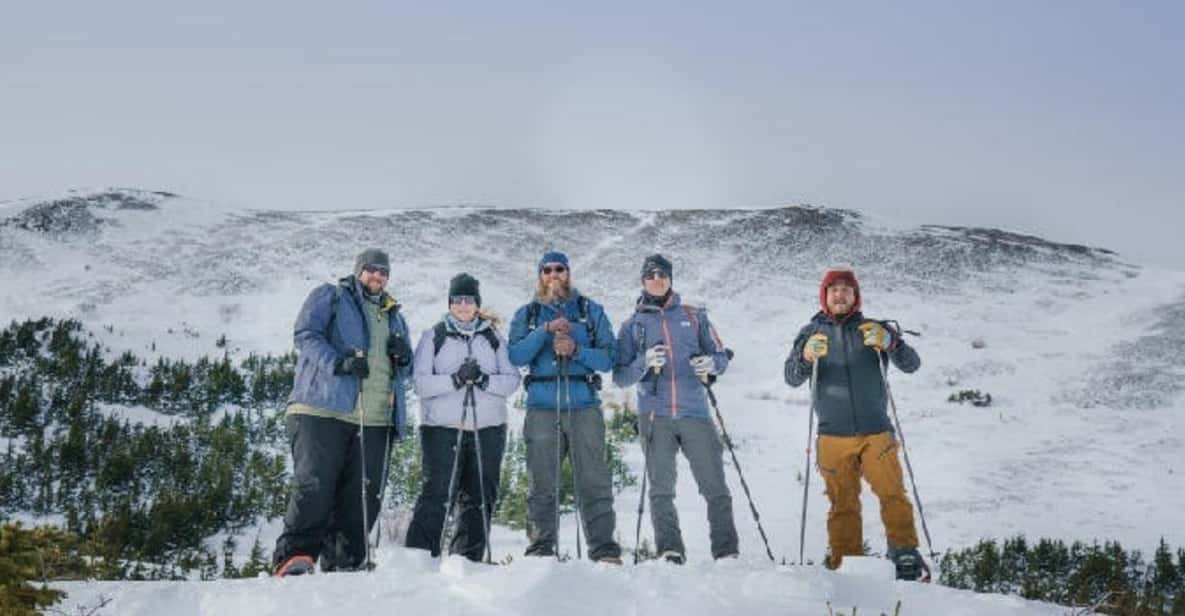 Anchorage: Heli Snowshoe Adventure - An In-Depth Look at the Tour Experience