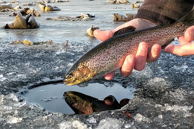 Anchorage Ice Fishing Adventure - Who is this tour perfect for?
