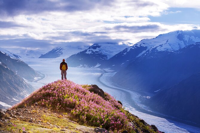 Anchorage: Kenai Fjords & Denali National Park 5 Day 4 Night Tour - The Sum Up