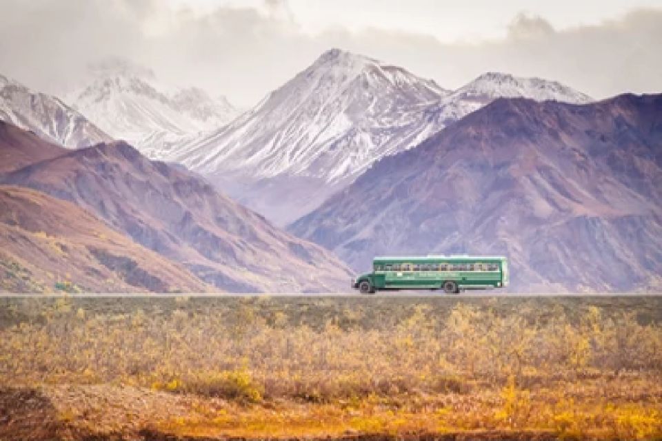 Anchorage: Kenai Fjords & Denali National Park 5 Day Tour - Key Points