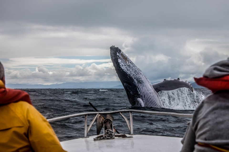 Anchorage: Kenai Fjords & Denali National Park 5 Day Tour - Exploring Alaska in 5 Days: A Detailed Breakdown