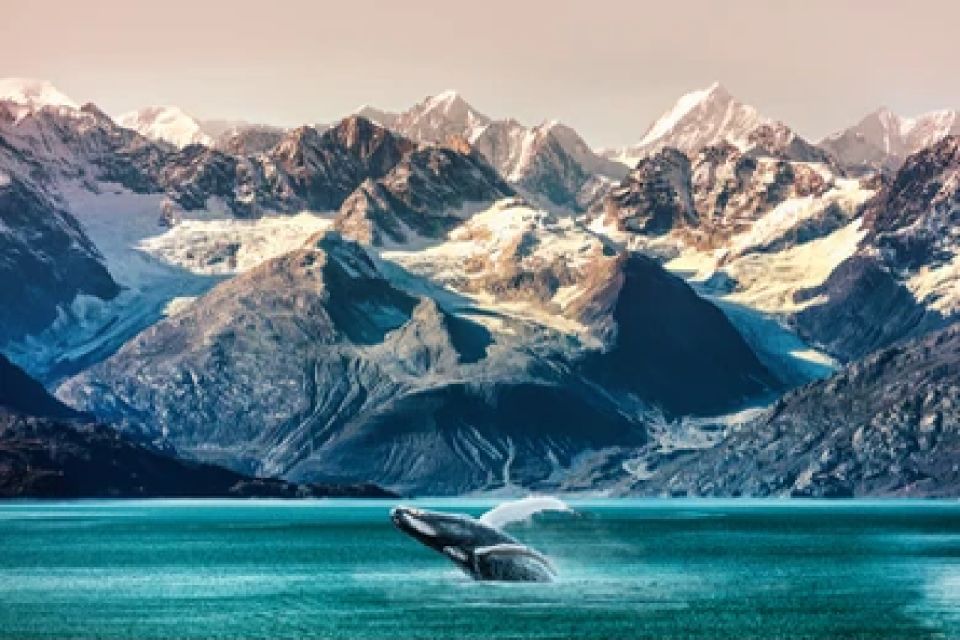Anchorage: Kenai Fjords & Denali National Park 5 Day Tour - What’s Included and What to Keep in Mind