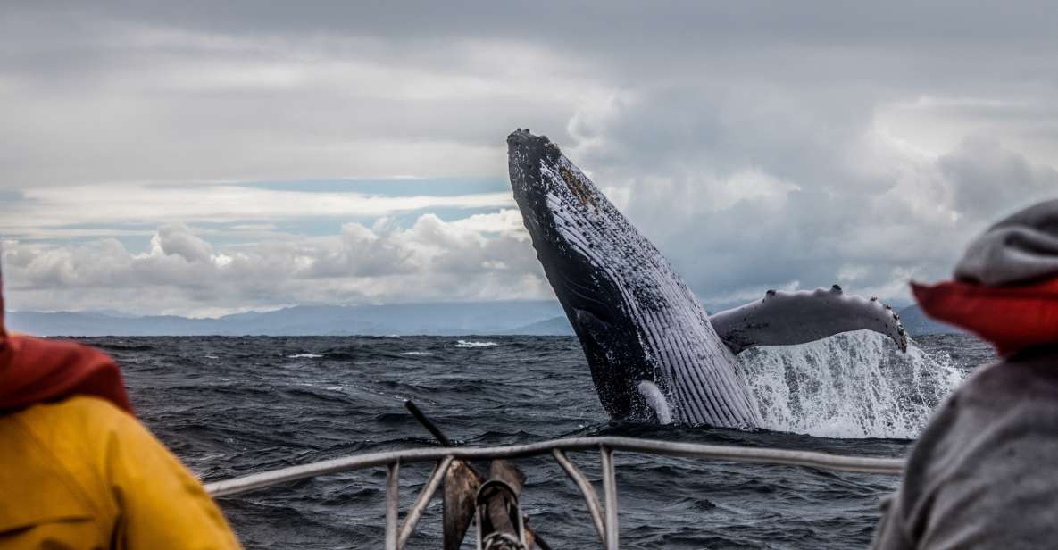 Anchorage: Kenai Fjords & Denali National Park 5 Day Tour - Who Would Love This Tour?