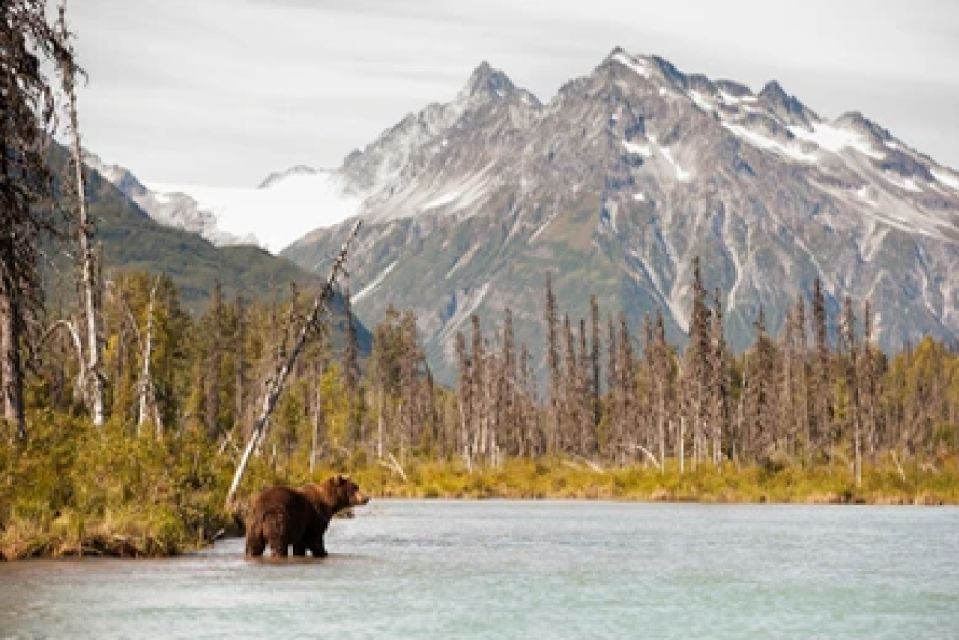 Anchorage: Kenai Fjords & Denali National Park 5 Day Tour - Final Thoughts