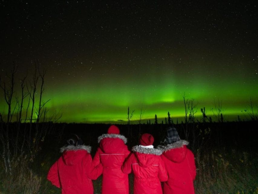 Anchorage: Nighttime Northern Lights Tour - Pricing and Value