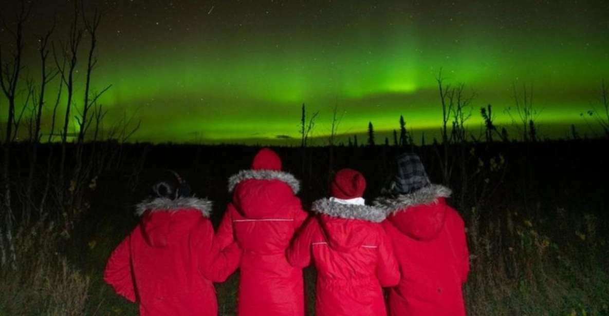Anchorage: Nighttime Northern Lights Tour - Who Should Consider This Tour?