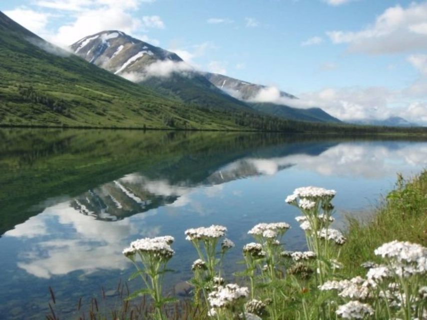 Anchorage: Nighttime Northern Lights Tour - FAQ