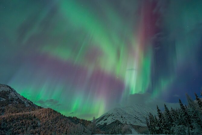 Anchorage Northern Lights Tour - The Sum Up