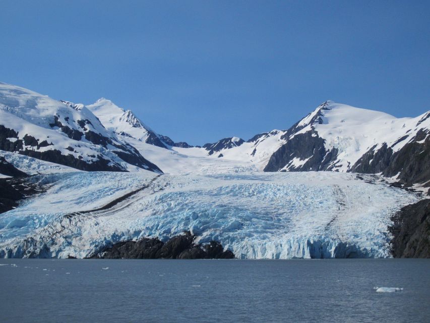 Anchorage: Portage Glacier and Wildlife Explorer Cruise - The Sum Up