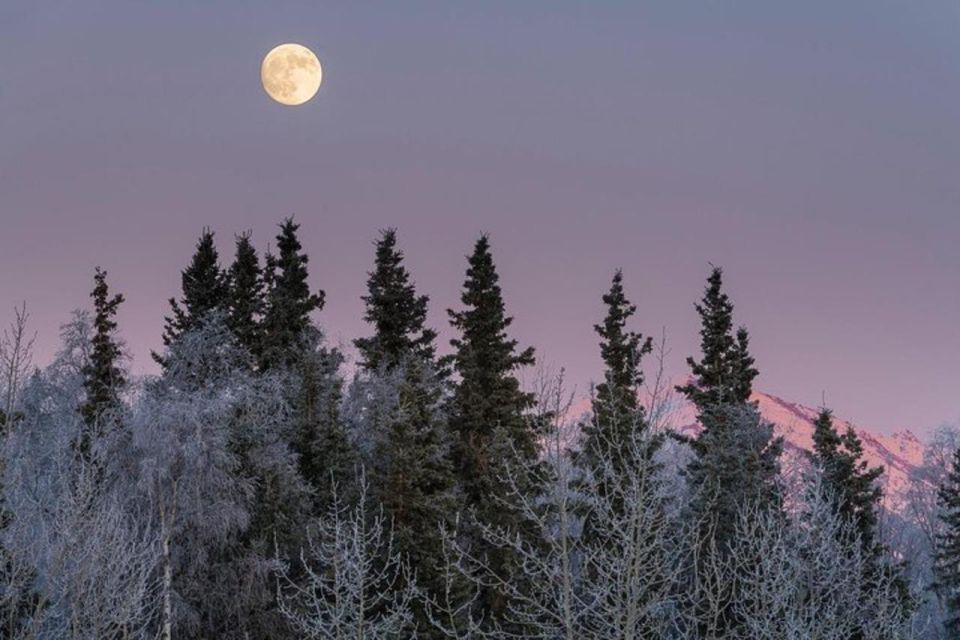 Anchorage: Sunset Photo Safari - FAQs