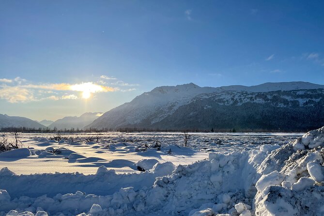 Anchorage to Seward- Pre-Cruise Curated Wildlife Tour +Transfer - Who Will Love This Tour?