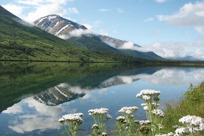 Anchorage to Whittier Cruise Transfer and Private Tour - What to Expect from the Tour
