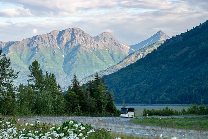 Anchorage to Whittier Wildlife Adventure - Key Points