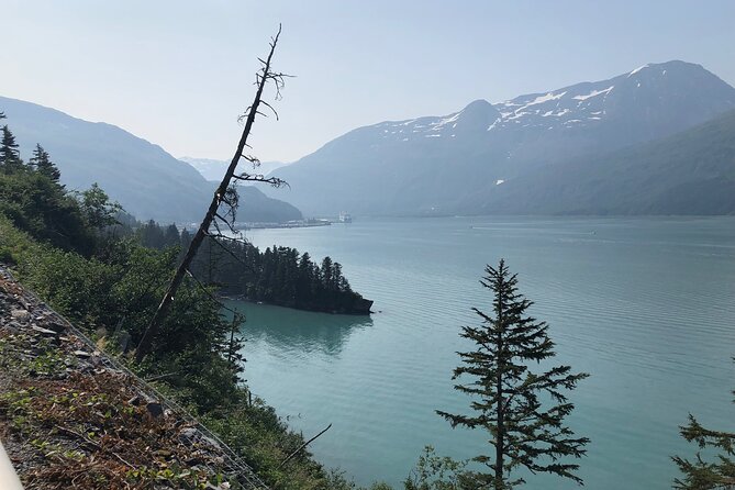 Anchorage to Whittier Wildlife Adventure - An In-Depth Look at the Tour Experience