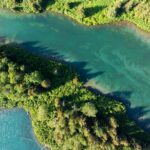 Anchorage to Whittier Wildlife Adventure - Who Will Love This Tour
