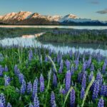 Anchorage: Turnagain Arm Highlights Photography Day Trip - An Introduction to the Tour