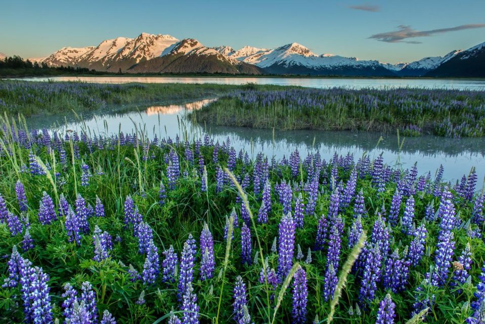 Anchorage: Turnagain Arm Highlights Photography Day Trip - An Introduction to the Tour