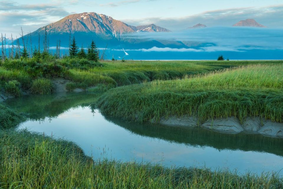 Anchorage: Turnagain Arm Highlights Photography Day Trip - Final Thoughts