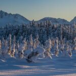 Anchorage: Winter Wonderland Photo Tour - Photography Instruction and Equipment