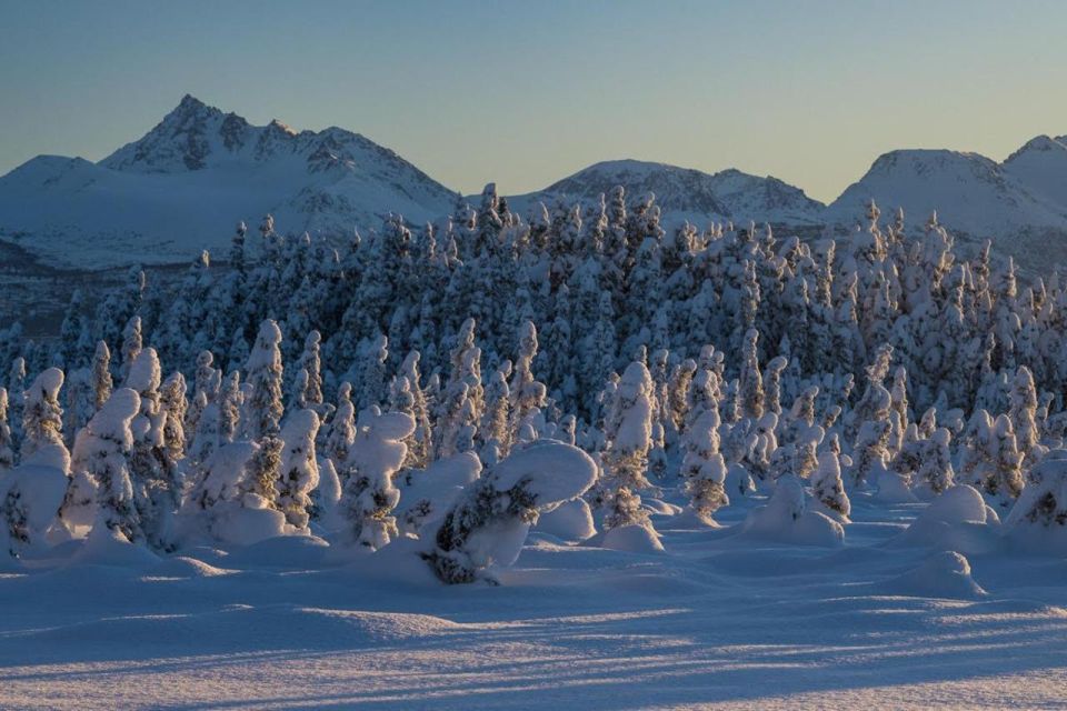 Anchorage: Winter Wonderland Photo Tour - Photography Instruction and Equipment