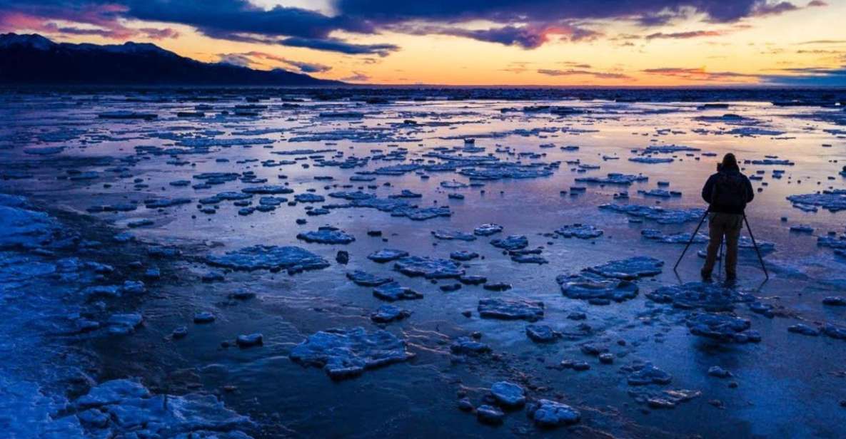 Anchorage: Winter Wonderland Photo Tour - The Experience: Pros and Cons