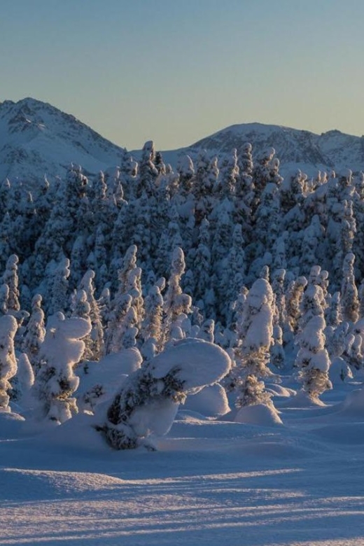 Anchorage: Winter Wonderland Photo Tour - Final Thoughts