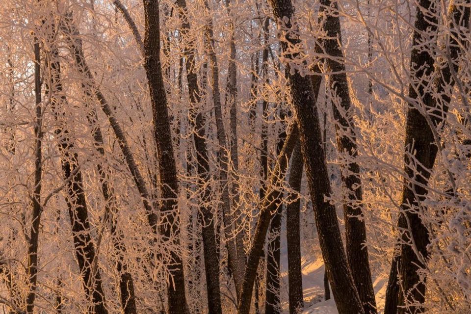 Anchorage: Winter Wonderland Photo Tour - FAQ