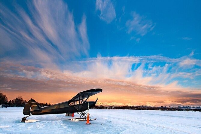 Anchorage's Winter City Tour = Samples + Stops + WildLife - FAQs