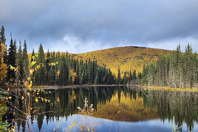 Angel Rocks Hike and Chena Hot-Springs Soak Guided Tour - FAQ