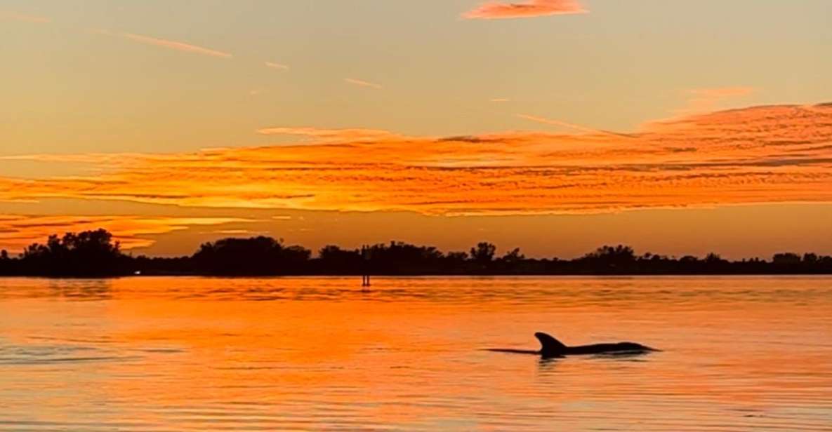 Anna Maria Island and Bradenton: Sunset Kayak Dolphin Tour - An In-Depth Look at the Sunset Kayak Dolphin Tour