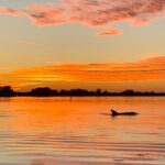 Anna Maria Island and Bradenton: Sunset Kayak Dolphin Tour - Practical Tips for Your Trip