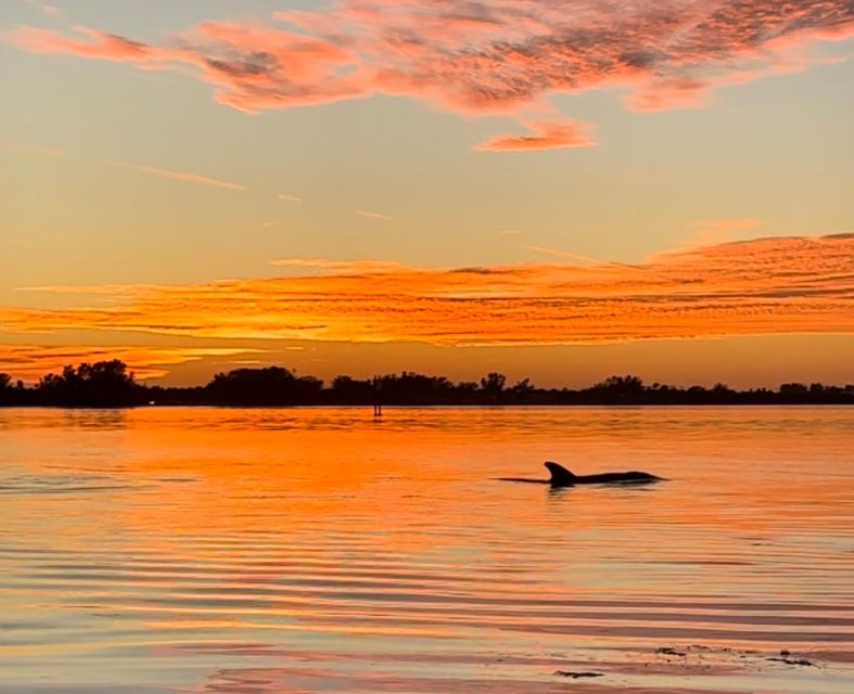 Anna Maria Island and Bradenton: Sunset Kayak Dolphin Tour - Practical Tips for Your Trip