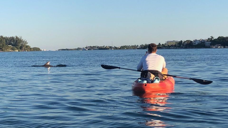 Anna Maria Island and Bradenton: Sunset Kayak Dolphin Tour - Final Thoughts